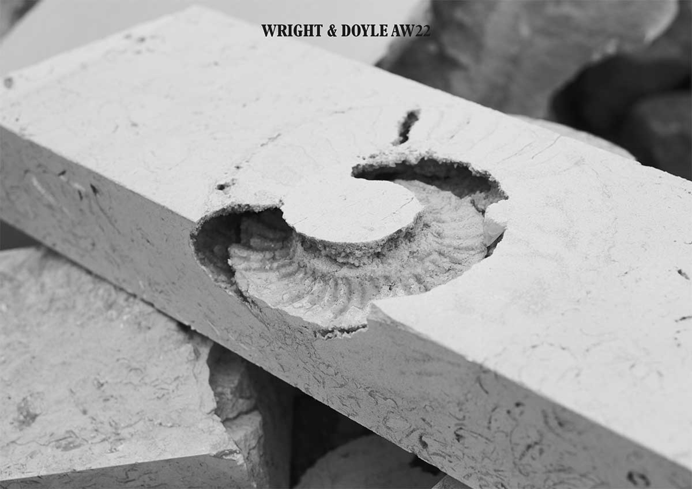 Collection II – WRIGHT + DOYLE